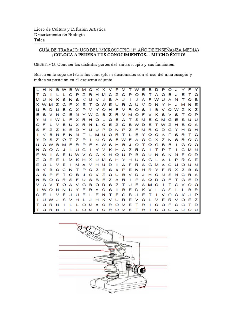 Guia de Uso Del Microscopio | PDF