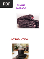 Agrigrow Ca B ZN - Ficha Técnica | PDF | Toxicidad | Calcio