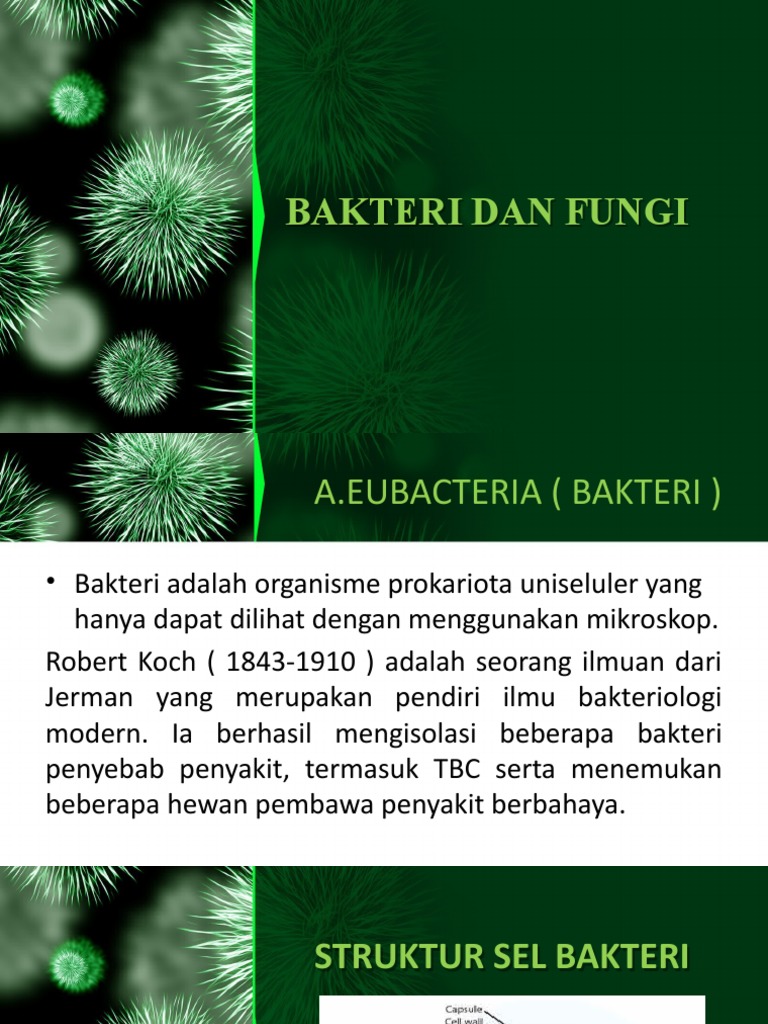 Linda PPT Bakteri Dan Fungi | PDF