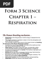 Exercise Science Form 2 | PDF