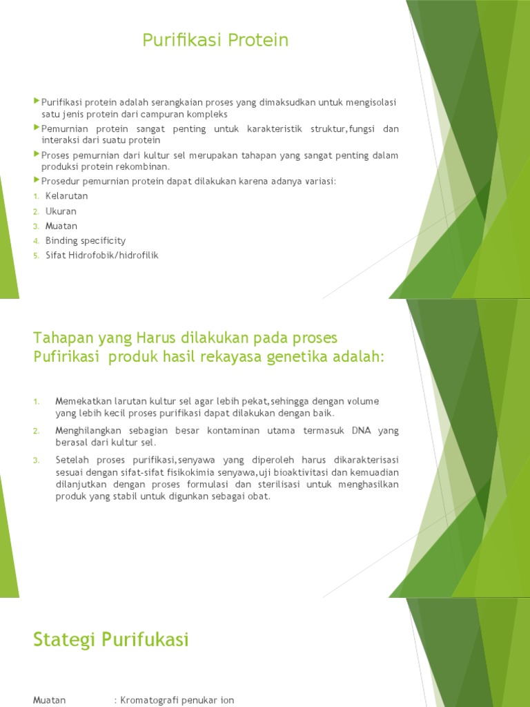Isolasi Dan Purifikasi Protein (Autosaved) | PDF