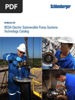 ESP Installation | PDF | Pipe (Fluid Conveyance) | Electrical Connector