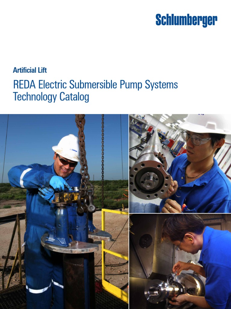 REDA ESP Pump Technology Catalog | PDF | Home & Garden | Computers