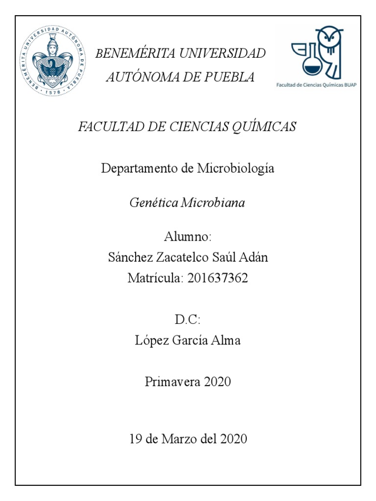 Agentes mutagénicos: mecanismos de acción y ejemplos | PDF | Mutageno ...