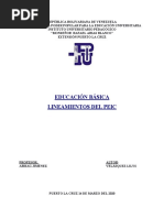 Orientaciones Peic | PDF | Pedagogía | Maestros