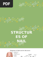 Nail Technology Training Manual | PDF | Nail (Anatomy) | Skeleton