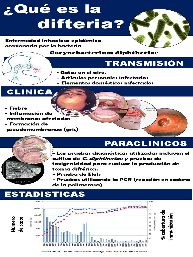 Infografia Difteria PDF | PDF