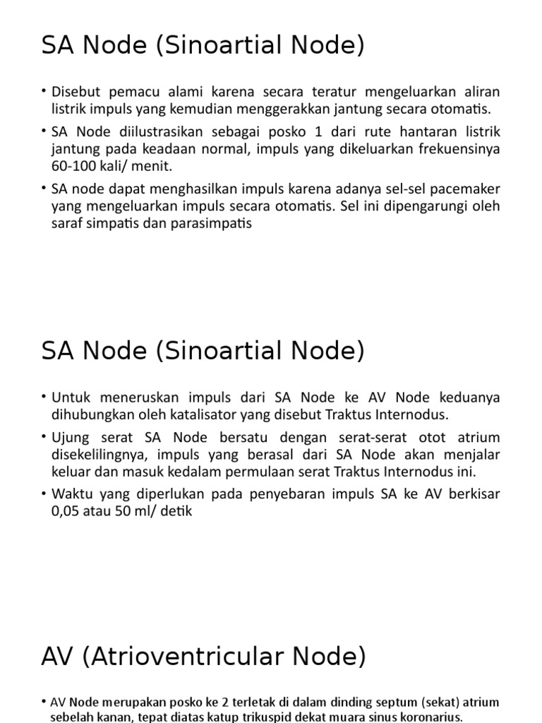 SA Dan AV Node | PDF