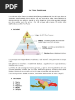 Diccionario Pictórico del Lenguaje Taino | PDF | Puerto Rico