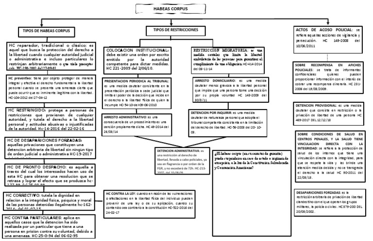 Mapa Conceptual | PDF | Habeas corpus | Virtud