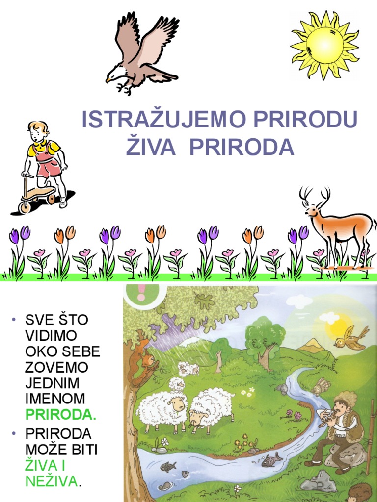 Mo-Ziva Priroda | PDF