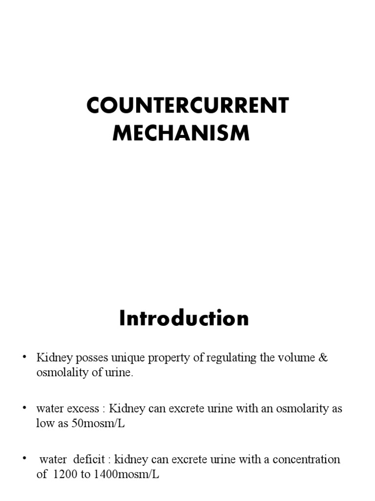 Counter Current Mechanism | PDF | Genitourinary System | Kidney