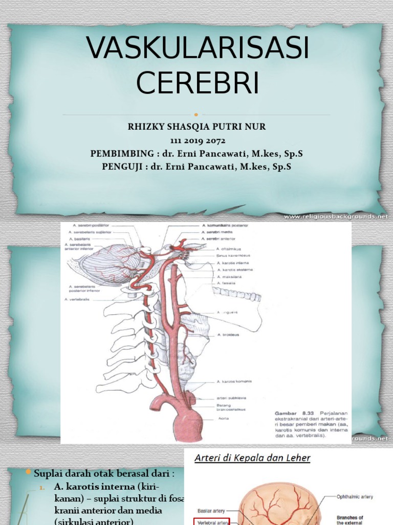 Vaskularisasi-Cerebri RHIZKY SHASQIA PUTRI NUR | PDF