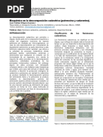 Fase Cromatica, Enfisematosa, Licuefactiva, Esqueletización y ...