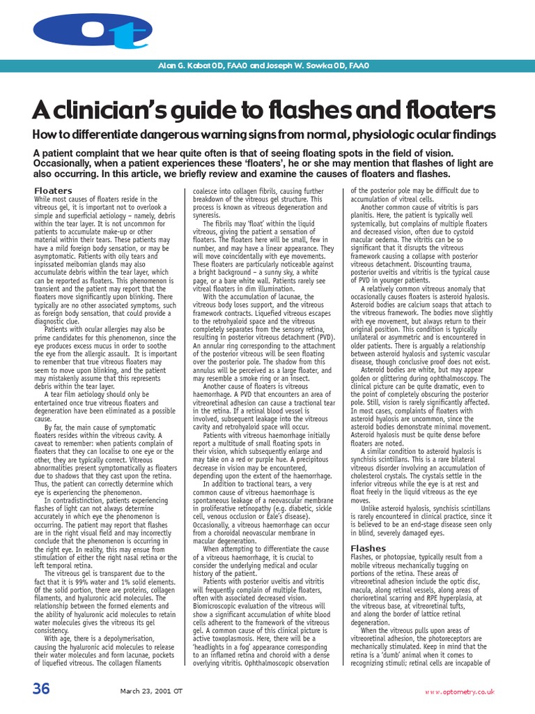 A Clinician's Guide To Flashes and Floaters | PDF | Retina | Diseases Of The Eye And Adnexa