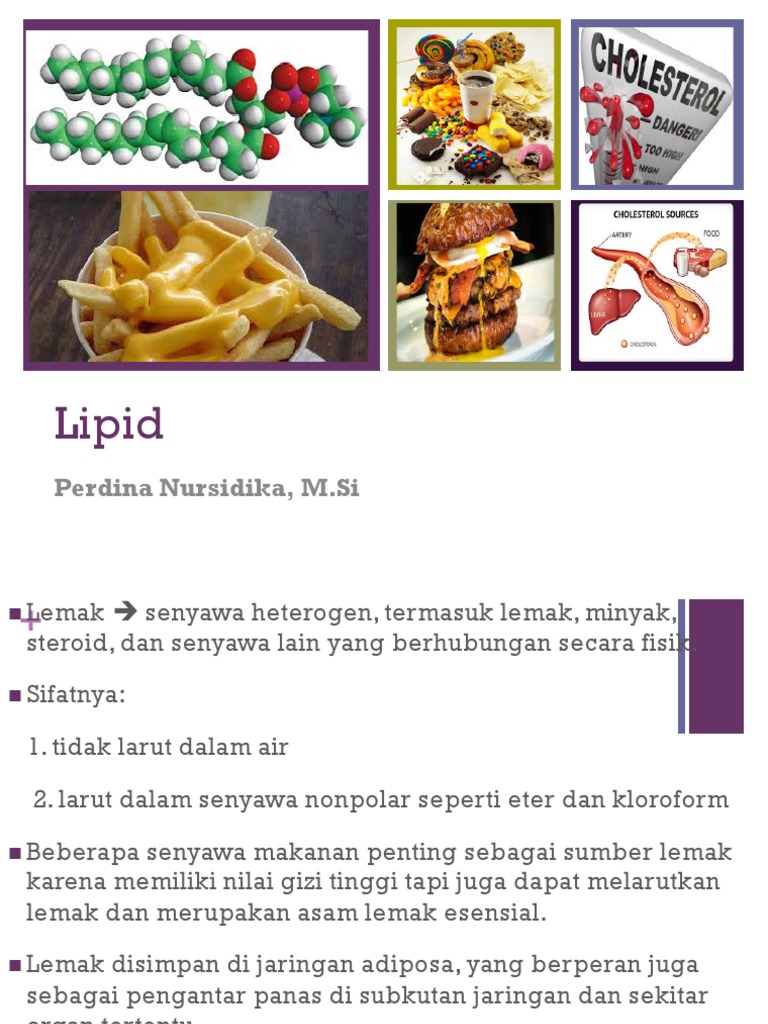 Lipid Lemak PDF | PDF