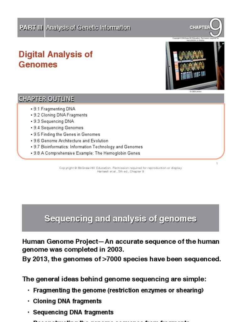 Ch09 pt1 - Lecture Powerpoint | PDF | Molecular Cloning | Plasmid