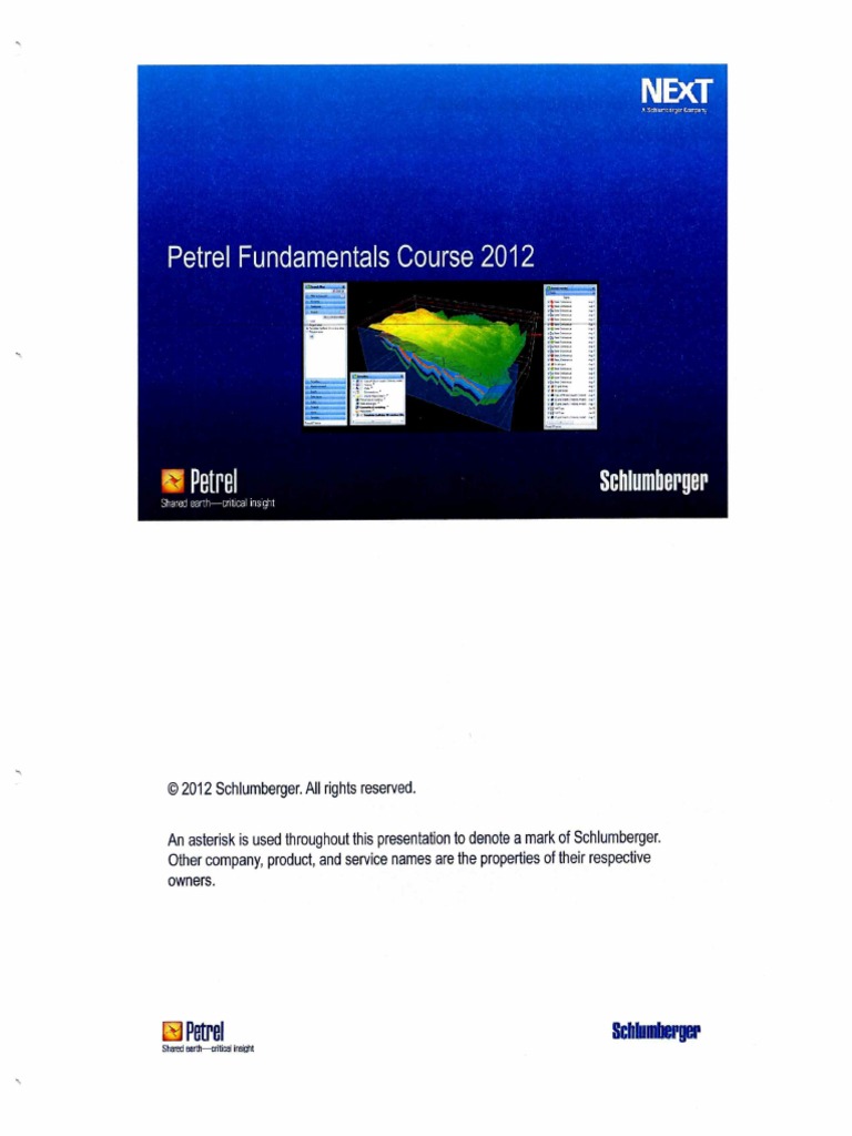 Petrel Fundamentals PDF | PDF
