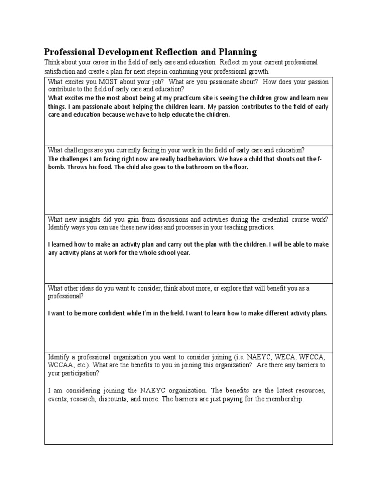 Professional Development Reflection and Planning 1 1 | PDF | Goal ...