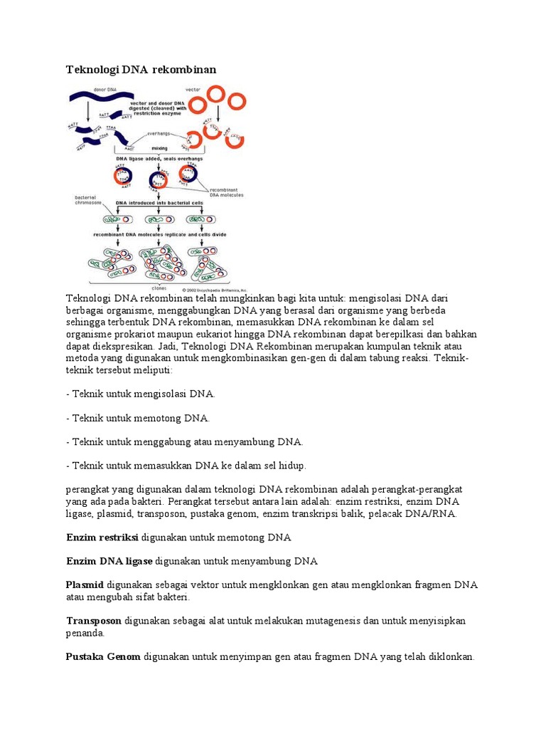 Teknologi DNA Rekombinan | PDF