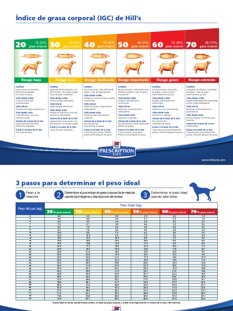 Indice Grasa Corporal Perro | PDF | Abdomen | Medicina Veterinaria