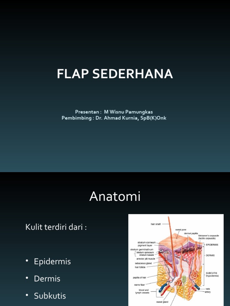 Modul Flap - Wisnu | PDF