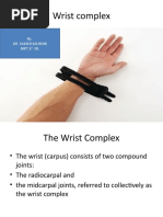 Upper Body Thera Band Exercise Program - Basic | PDF | Elbow | Arm
