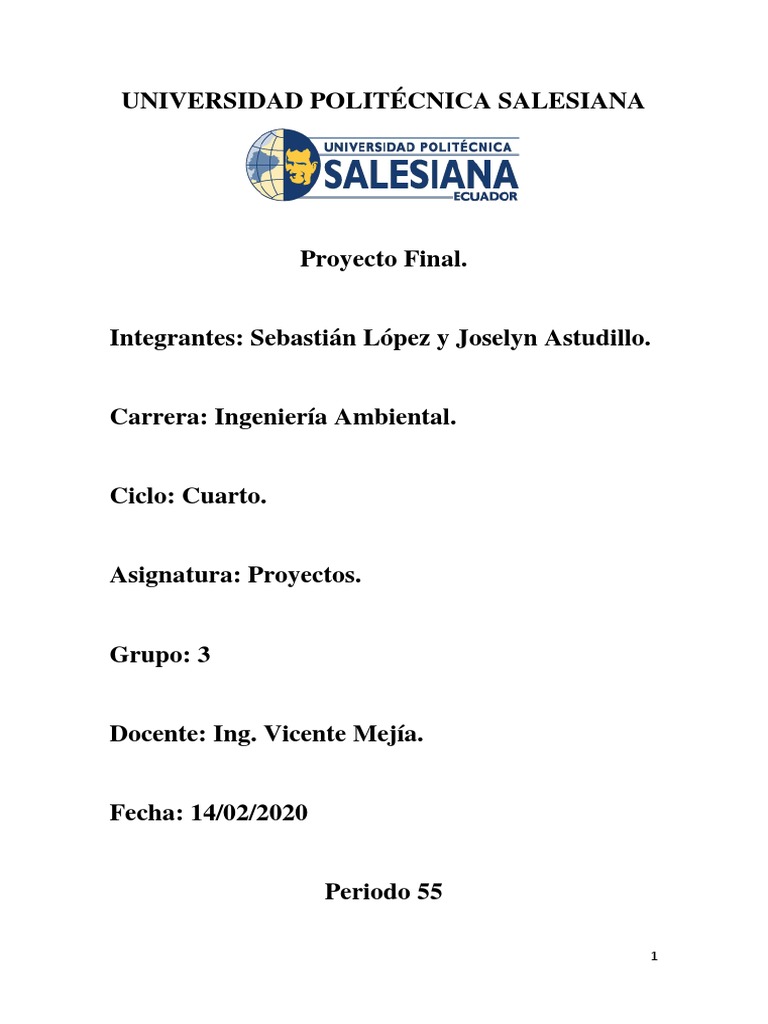 Proyecto Final PDF | PDF | Glicerol | Jabón