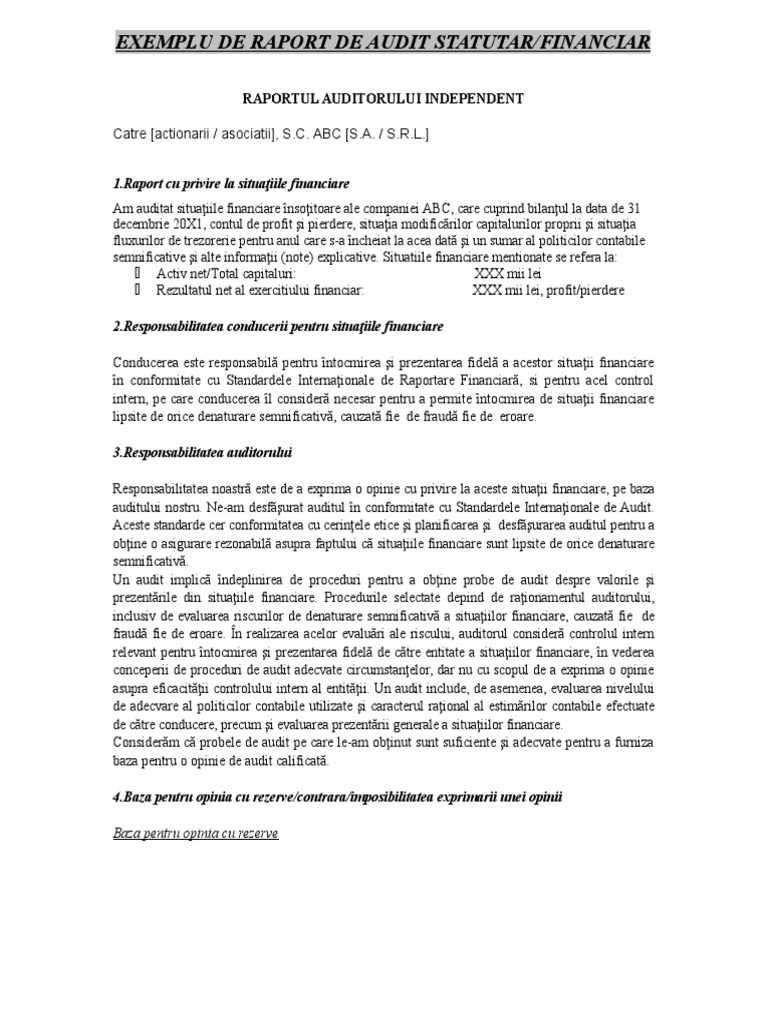 Ex Raport de Audit | PDF