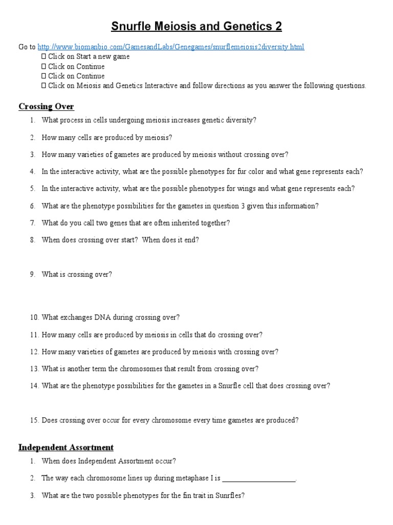 Snurfle Meiosis and Genetics Overview | PDF | Meiosis | Genetics