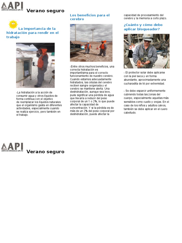 Triptico Verano Seguro | PDF