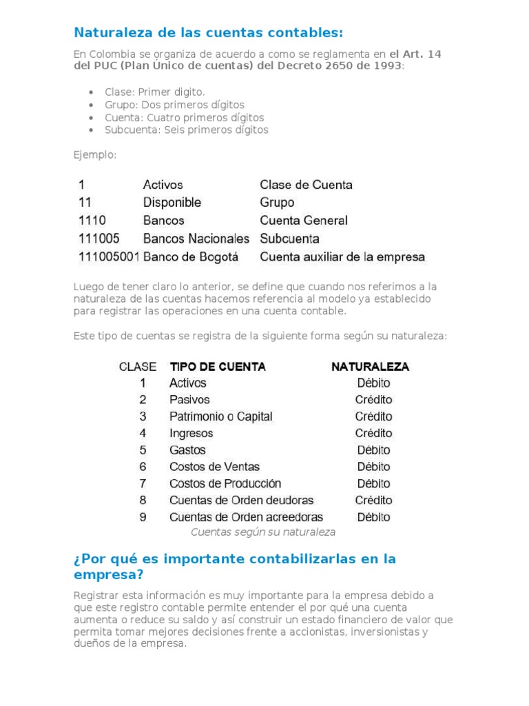 Naturaleza de Las Cuentas Contables | PDF