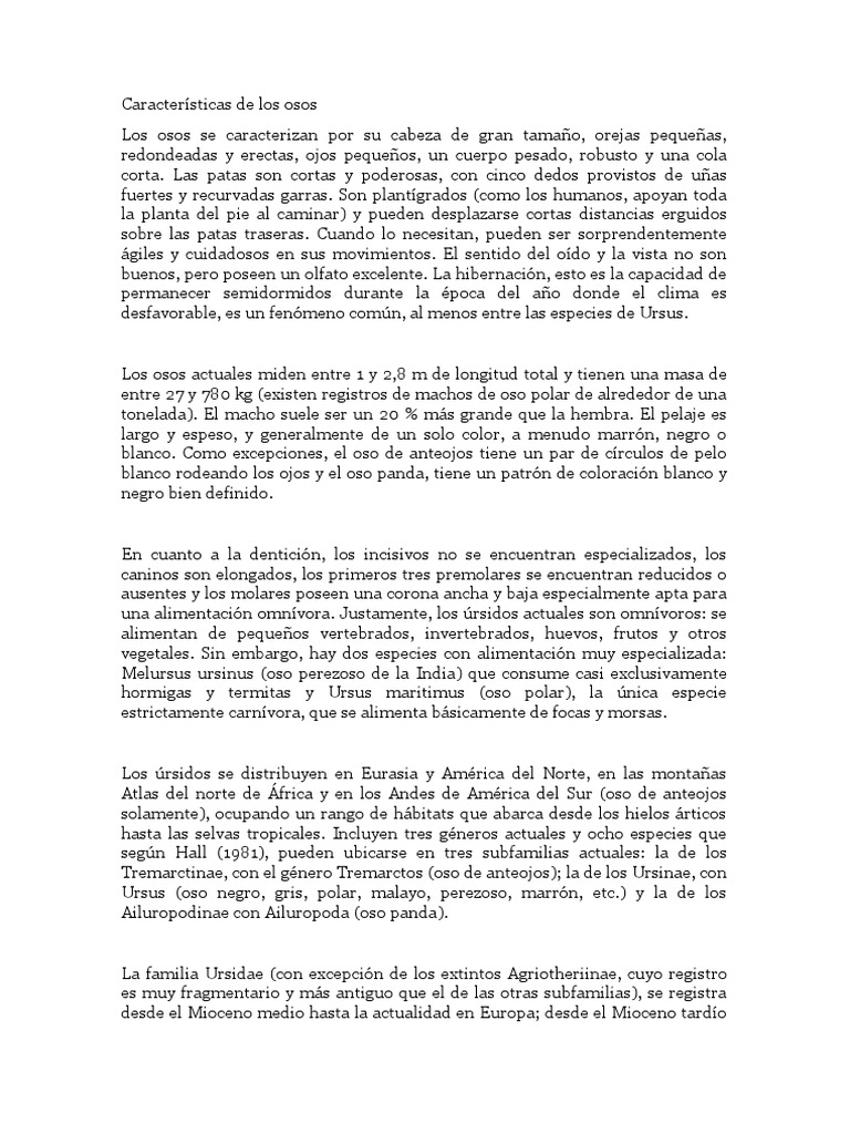 Características y hábitats de los osos | PDF | Osos | Caniformes