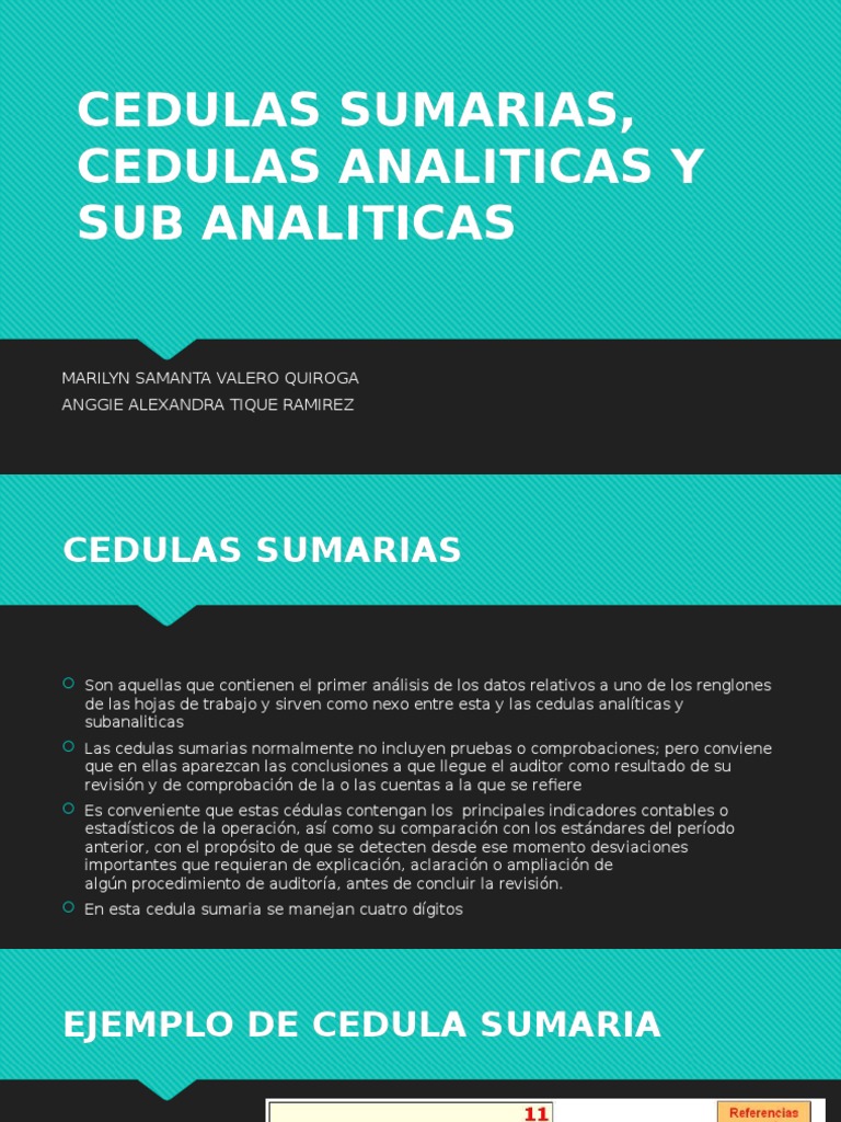 Cedulas Sumarias, Cedulas Analiticas y Sub Analiticas | PDF | Presupuesto | Science