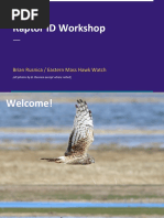 Bto Bird Species Codes | PDF