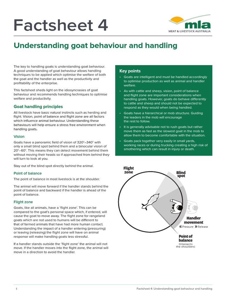 fs04 Understanding Goat Behaviour and Handling Final PDF | PDF | Goat ...