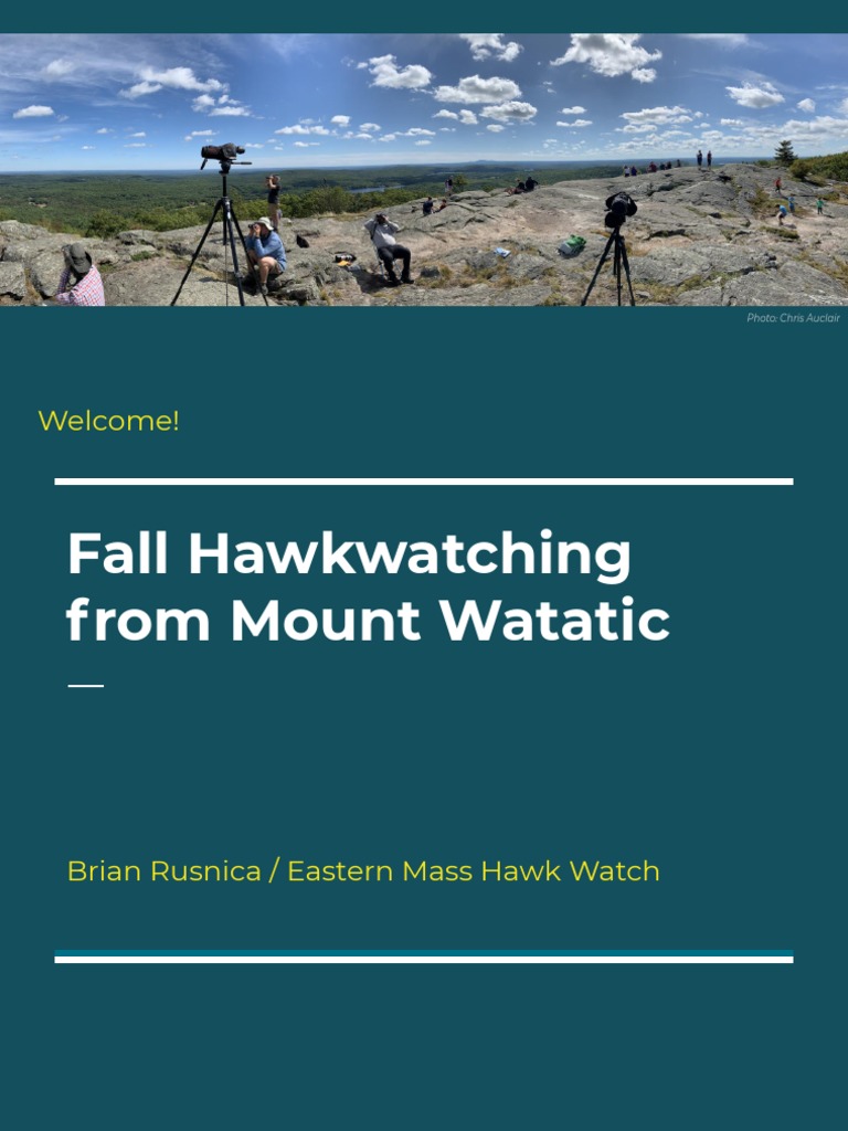 Fall Hawkwatching From Mount Watatic | PDF | Bird Migration | Hawk