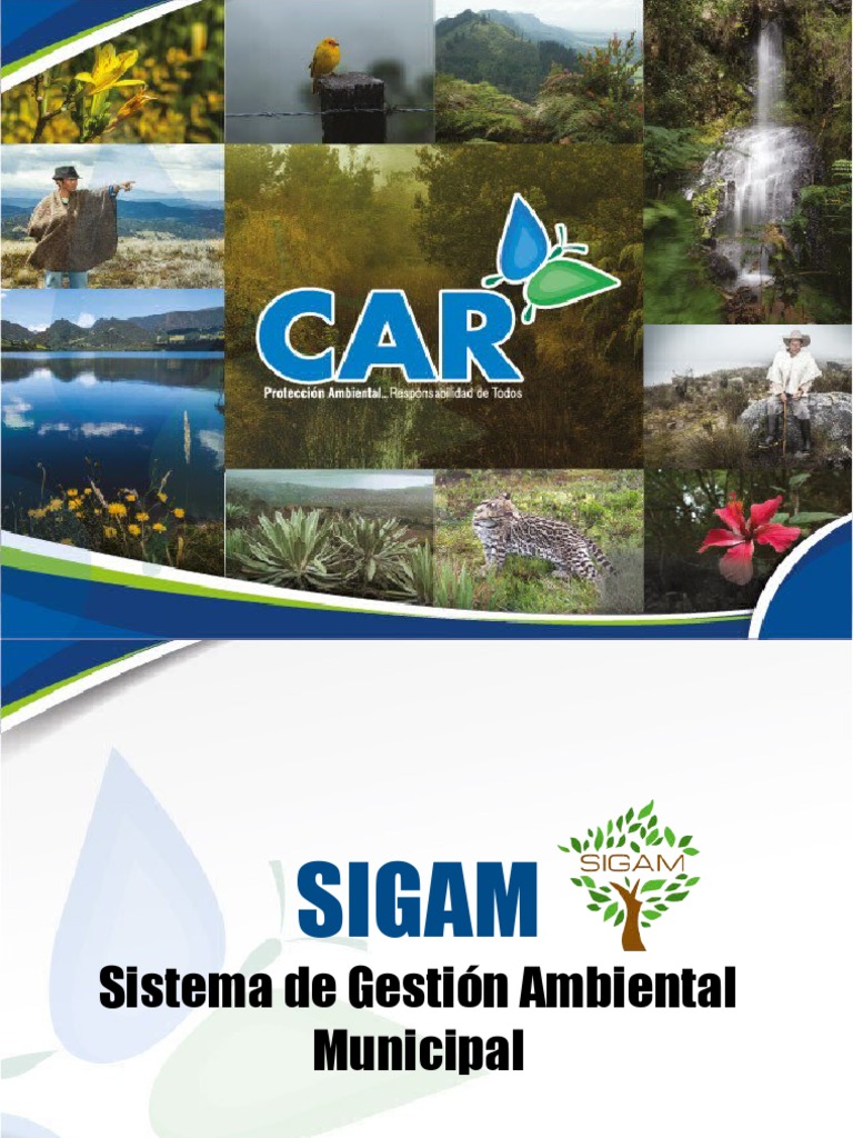 SIGAM | PDF | Alcalde | Adopción