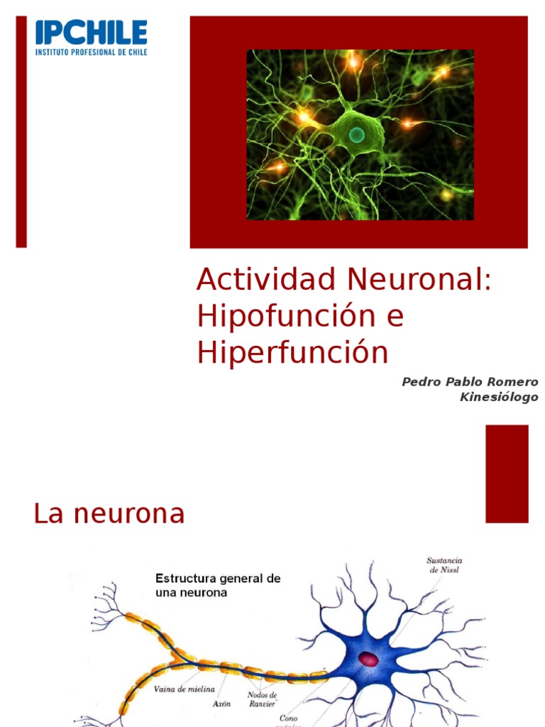 Clase 6 Hipo e Hiperfunción Neuronal | PDF | Sinapsis | Potencial de acción