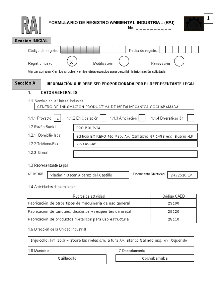 Anexo 6 - B - RAI - Formulario Llenado | PDF | Hierro | Química