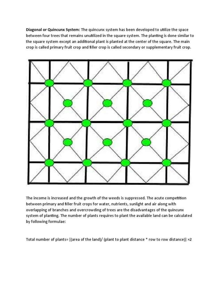 Diagonal or Quincunx System | PDF | Home & Garden