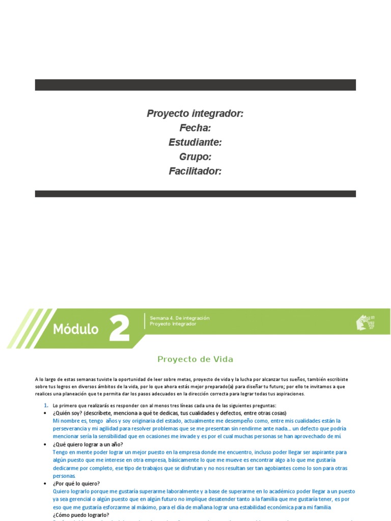 proyecto integrador modulo 2 | Ocio | Internet