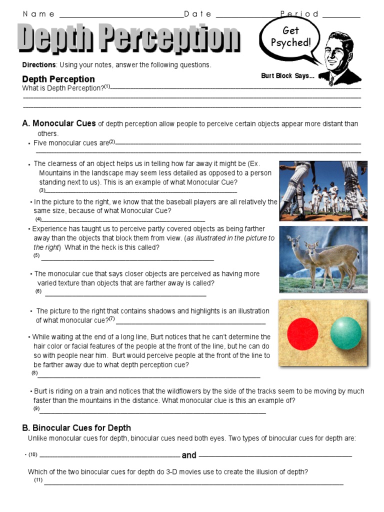 Perspective | PDF | Subjective Experience | Perception