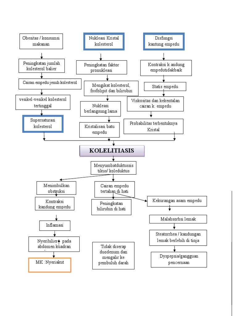 WOC Kolelitiasis | PDF