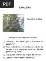Estudo da Papaeira: Morfologia e Importância | PDF | Américas | América ...