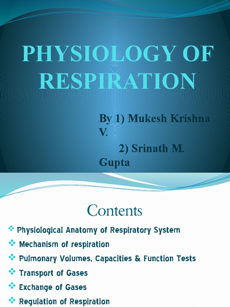 D Physiology of Respiration | PDF | Respiratory Tract | Respiratory System