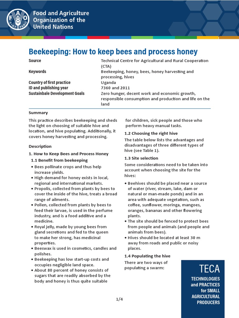 Beekeeping: Hive Selection & Honey Processing | PDF | Beehive | Beekeeping