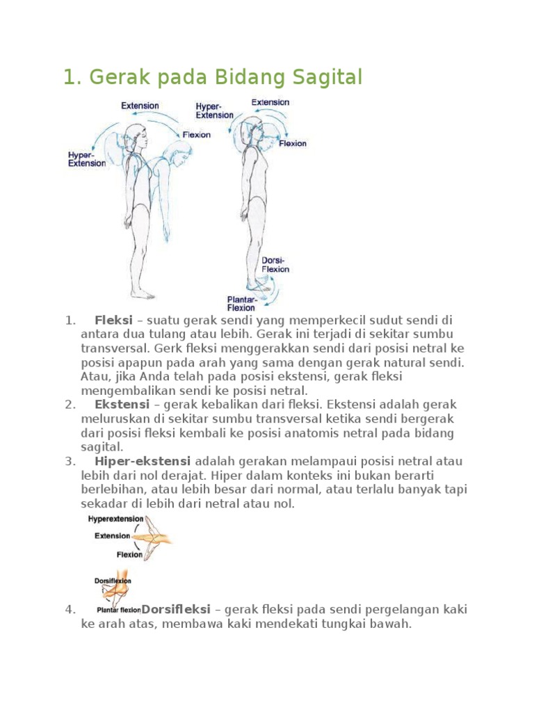 Arah Gerak | PDF