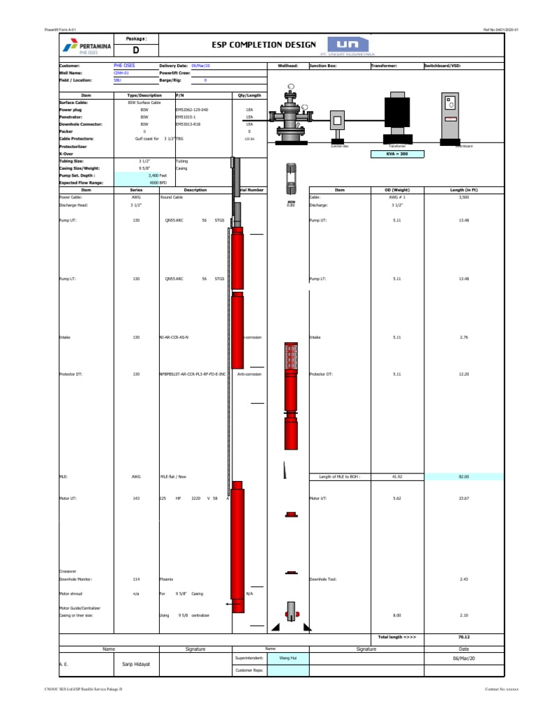 ESP Runlife Service Package Overview | PDF | Transformer | Geotechnical ...