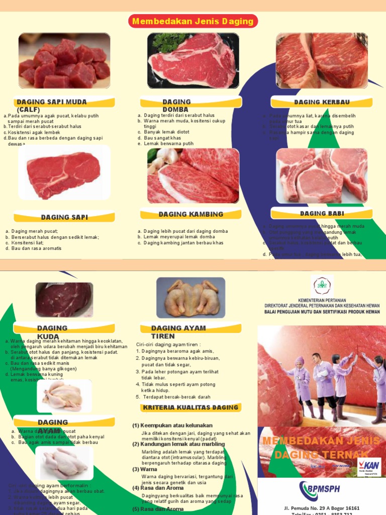 Macam Daging | PDF
